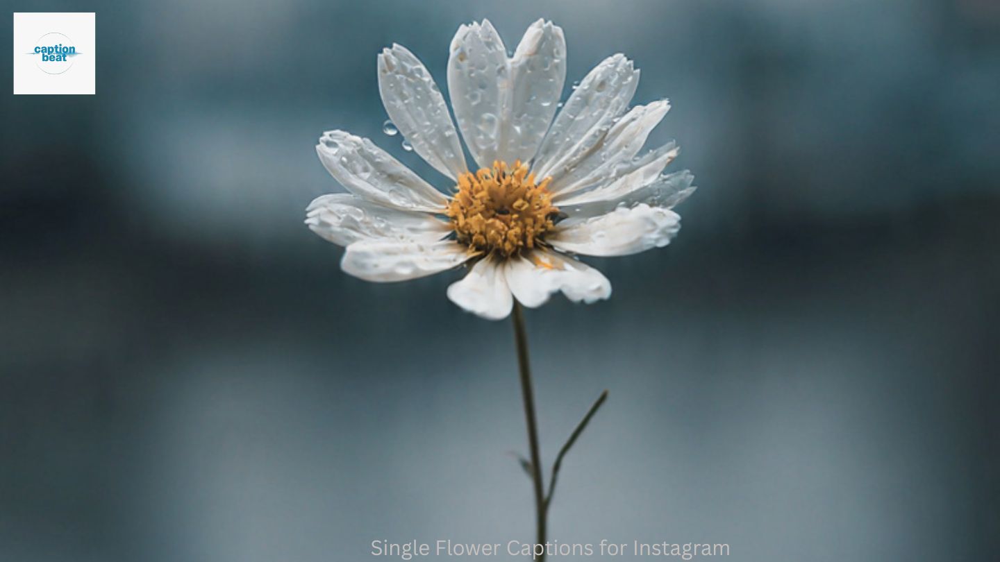 750+ Flower Captions & Quotes for Instagram - captionbeat